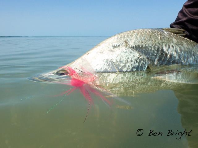 SWFA PINK THING FLY - SL12 2/0 - MEDIUM DOUBLE PUPIL DUMBELL EYE ...